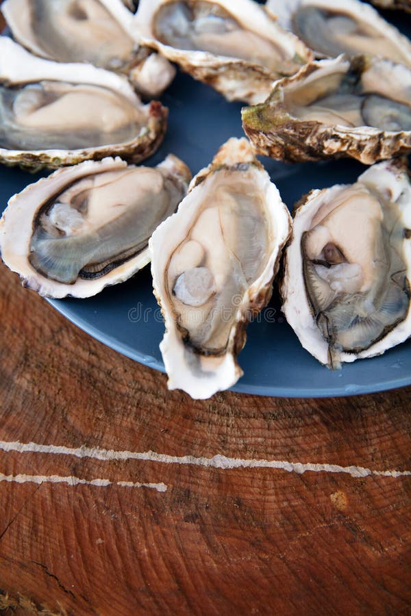Fresh Oysters with Tasty Ingredients Stock Photo - Image of tasty ...