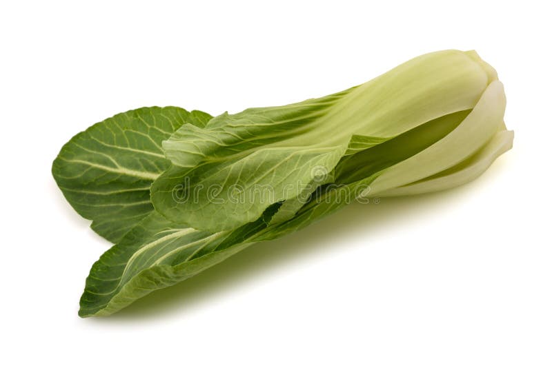 Fresh Pak choi stock image. Image of nature, kitchen - 270521643