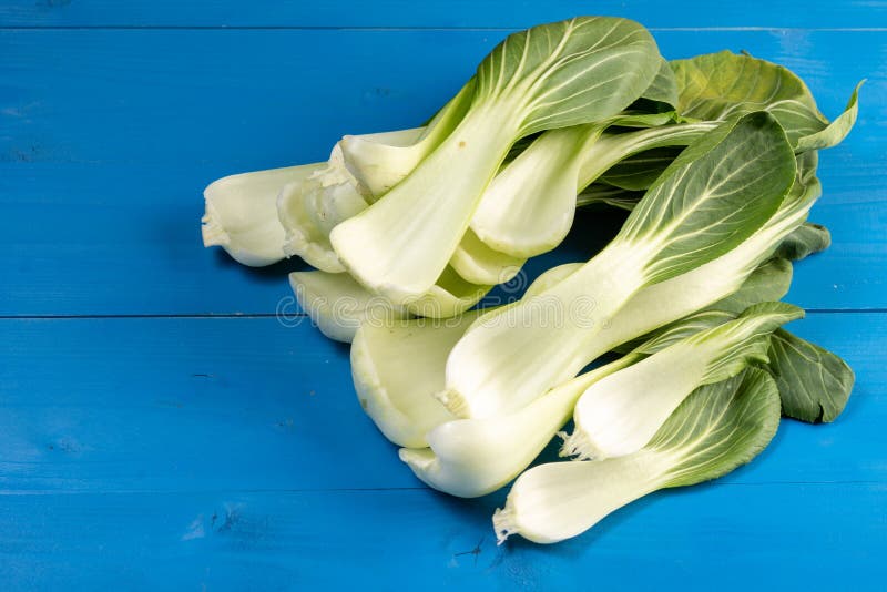Pak Choi S Vegetables Plant with Hidroponic Metode Stock Photo - Image ...