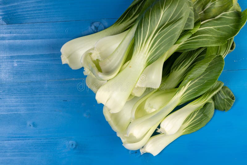 Pak Choi S Vegetables Plant with Hidroponic Metode Stock Photo - Image ...