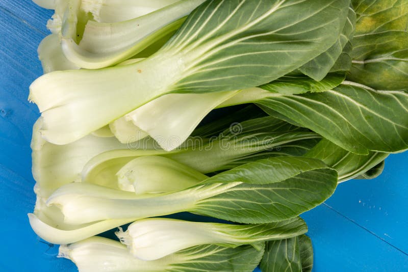 Pak Choi S Vegetables Plant with Hidroponic Metode Stock Photo - Image ...