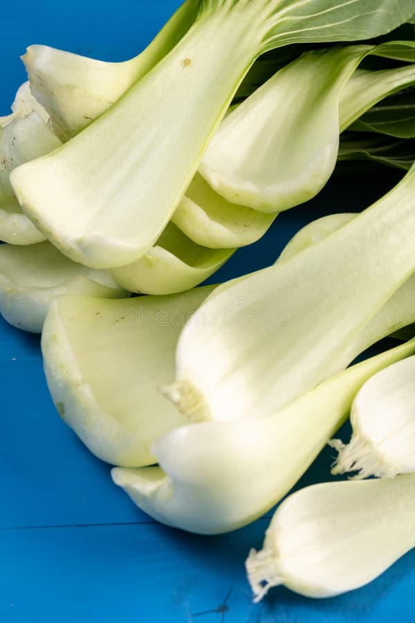Pak Choi S Vegetables Plant with Hidroponic Metode Stock Photo - Image ...