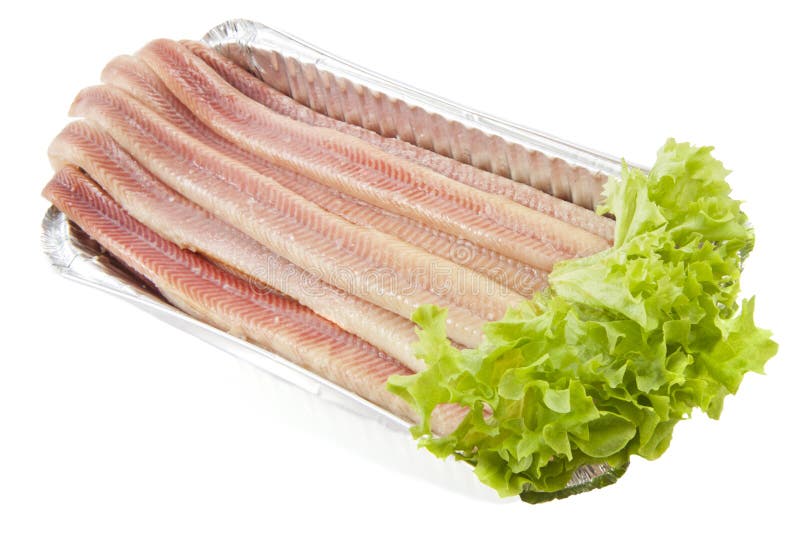 Paling Fish Stock Photos - Free & Royalty-Free Stock Photos from Dreamstime