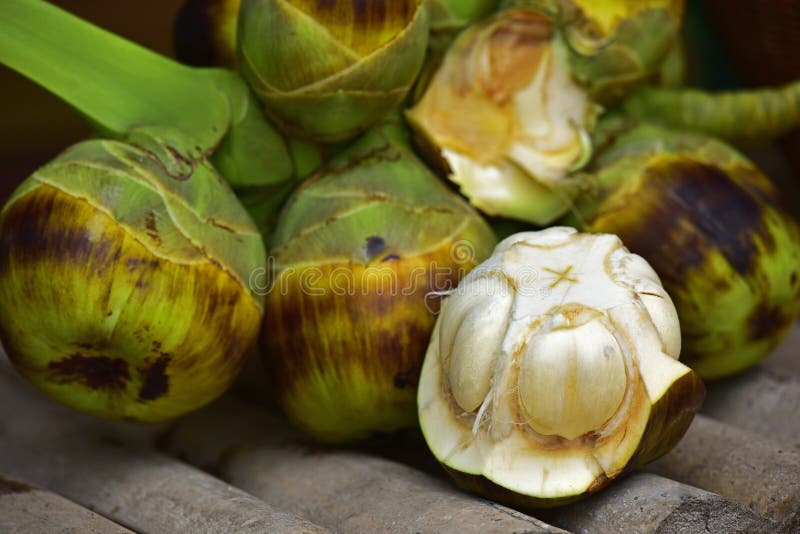 Fresh Palmyra Palm Fruit and Shell of Palmyra Palm. Asian Toddy Palm ...