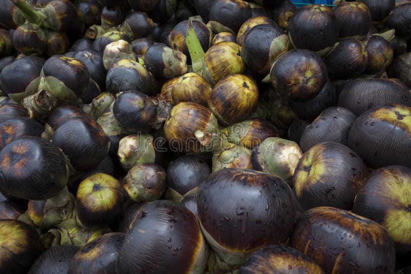 Toddy Palm Fruit Pulp Stock Photos - Free & Royalty-Free Stock Photos ...