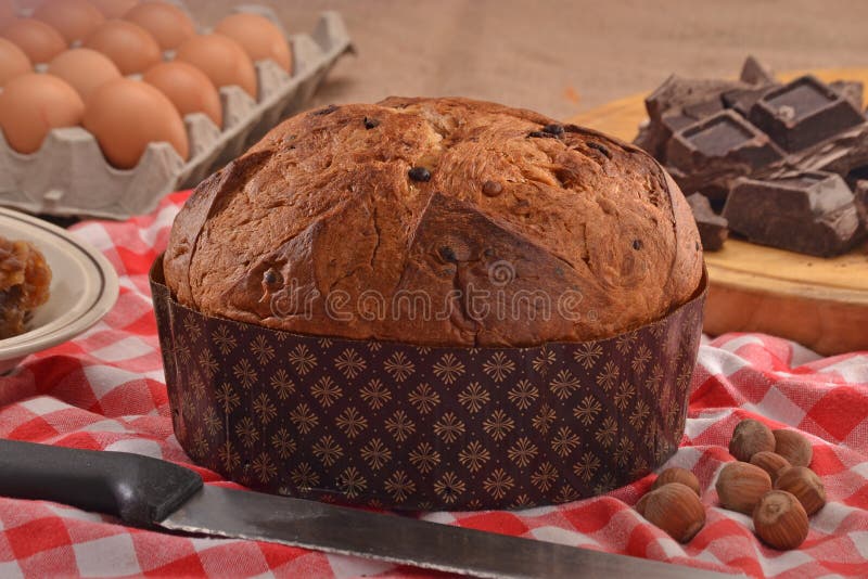 Fresh panetone. stock image. Image of pane, orange, detail - 75810011