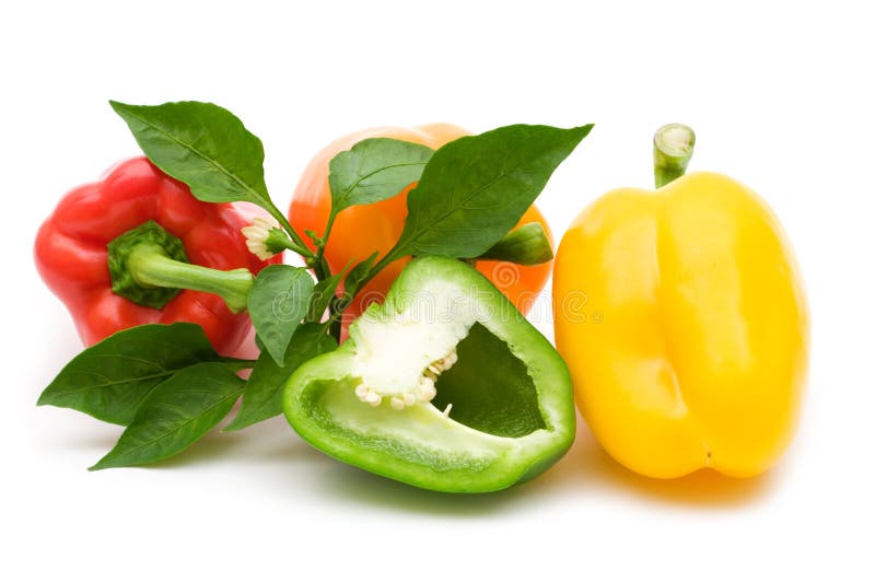 Fresh paprika stock image. Image of paprika, feed, nature - 10524027