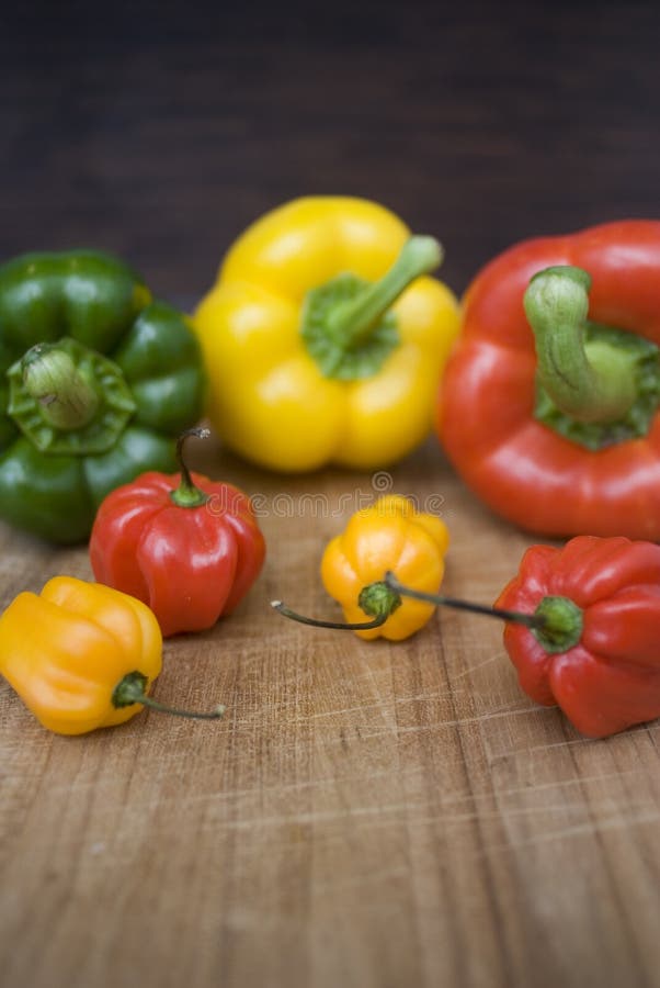 Fresh paprika stock photo. Image of exotically, chillis - 5892714