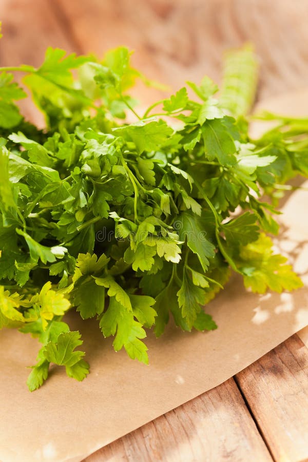 Fresh parsley stock photo. Image of seasoning, organic - 21437114