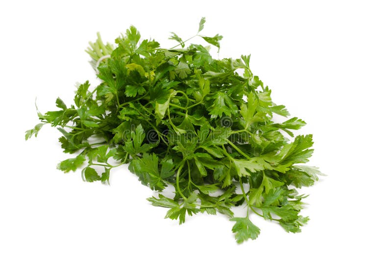 Fresh parsley stock photo. Image of parsley, vegetable - 28377454