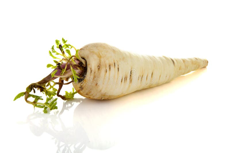 Parsnip stock image. Image of delicious, colourful, parsnip - 8004057