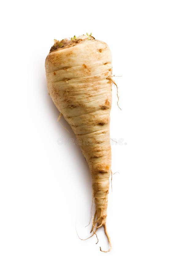 Fresh parsnip stock image. Image of organic, roots, harvested - 29625011