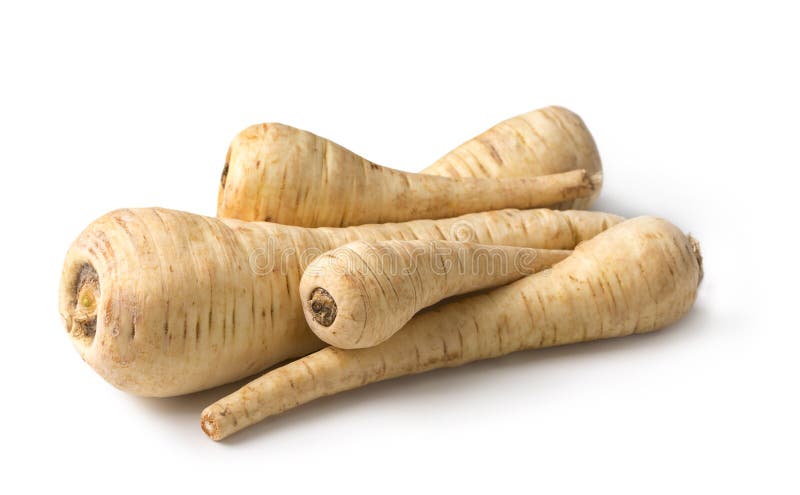 Fresh parsnip roots stock image. Image of cooking, sweet - 69604555
