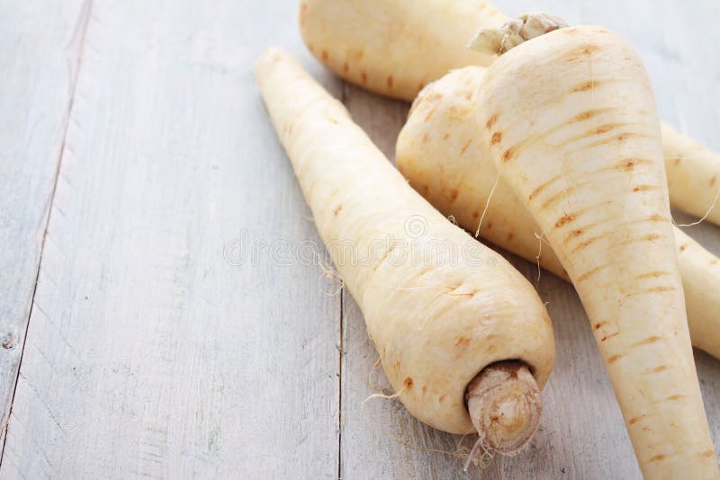 Fresh parsnips vegetables stock photo. Image of vegetable - 61849820