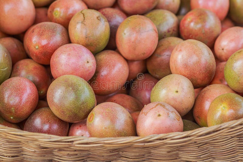 Fresh Passion Fruit in a Basket Picking with Hand Stock Photo - Image ...