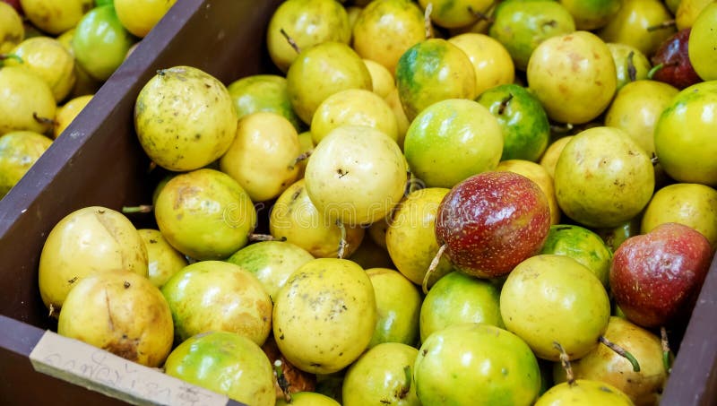 Fresh Passion fruit stock image. Image of ripe, nutrition - 61406043