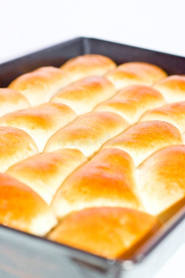 Fresh patties stock photo. Image of dinner, white, kitchen - 12548918