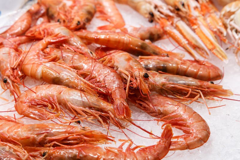 Animal is on the pawn. stock photo. Image of fruit, like - 122481424