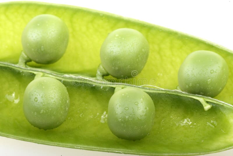 Fresh pea stock image. Image of healthy, vegetable, legume - 8314097
