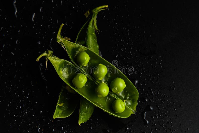 Fresh Pea Close-up in Water Drops on a Black Background Stock Image ...