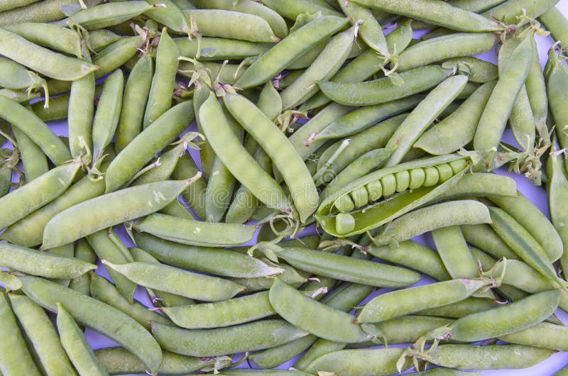 Fresh Pea Pods in Asian Market , India Stock Photo - Image of ...