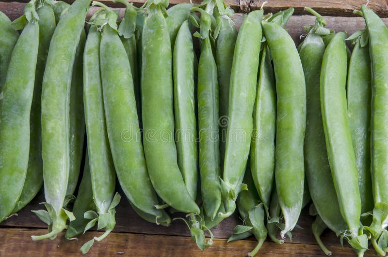 Fresh pea pods stock photo. Image of ingredient, green - 51881676