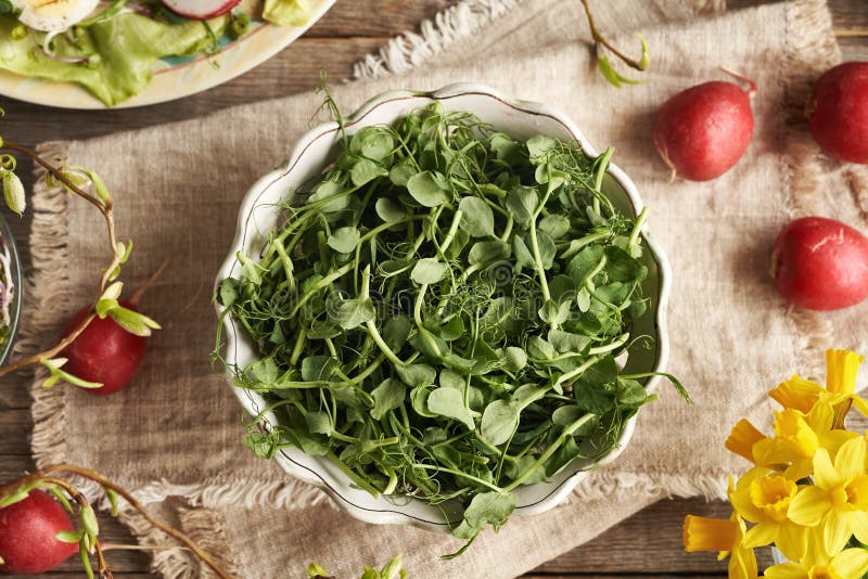 Fresh Pea Shoots or Microgreens in a Bowl, Top View Stock Photo - Image ...