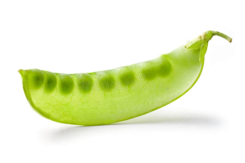Single pea on a fork stock image. Image of mental, lose - 477009