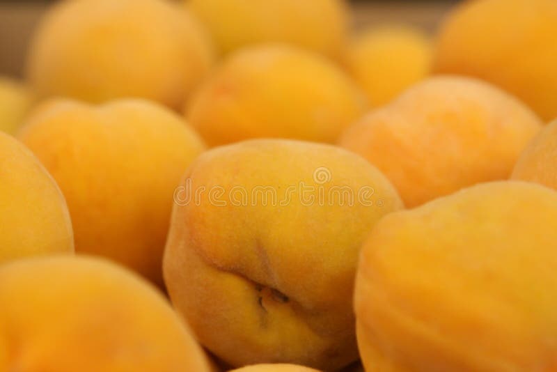 Fresh Peach Fruit with a Shallow Depth of Field Stock Photo - Image of ...
