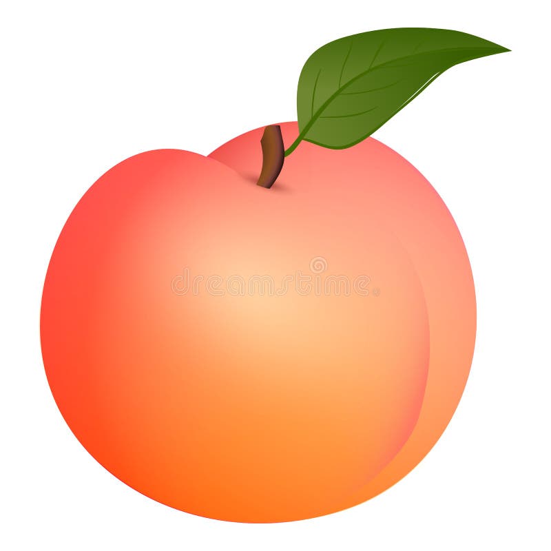 Fresh Peach Icon, Cartoon Style Stock Vector - Illustration of logo ...