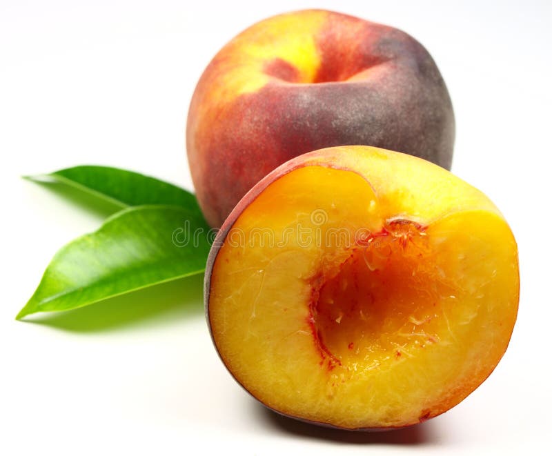 Fresh peaches stock photo. Image of agriculture, fruits - 10555094