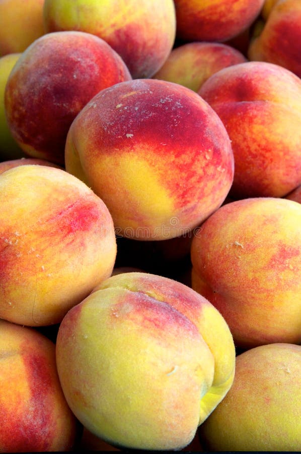 Fresh Peaches stock image. Image of sweet, freshness - 15533027