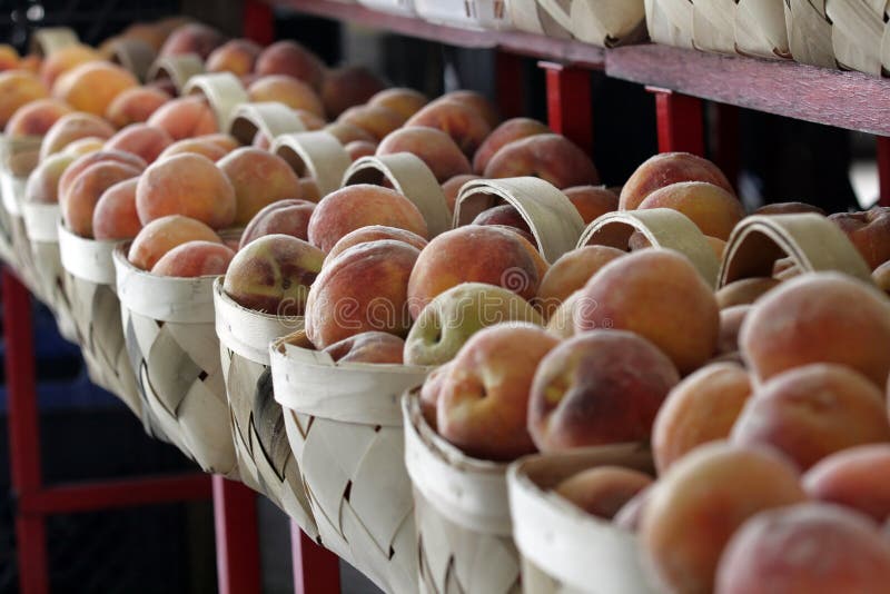 Red Peaches on Display Fresh Market Retail Grocery Store Stock Photo ...