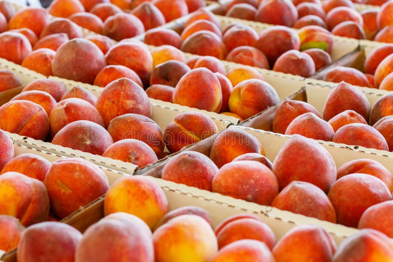 Fresh Peaches in Boxes editorial photography. Image of fruit - 115899422