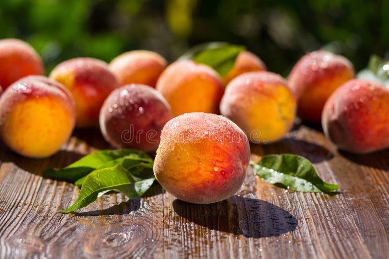 Fresh Peaches, Peach Close Up Fruit Background, Peach on Wood Ba Stock ...