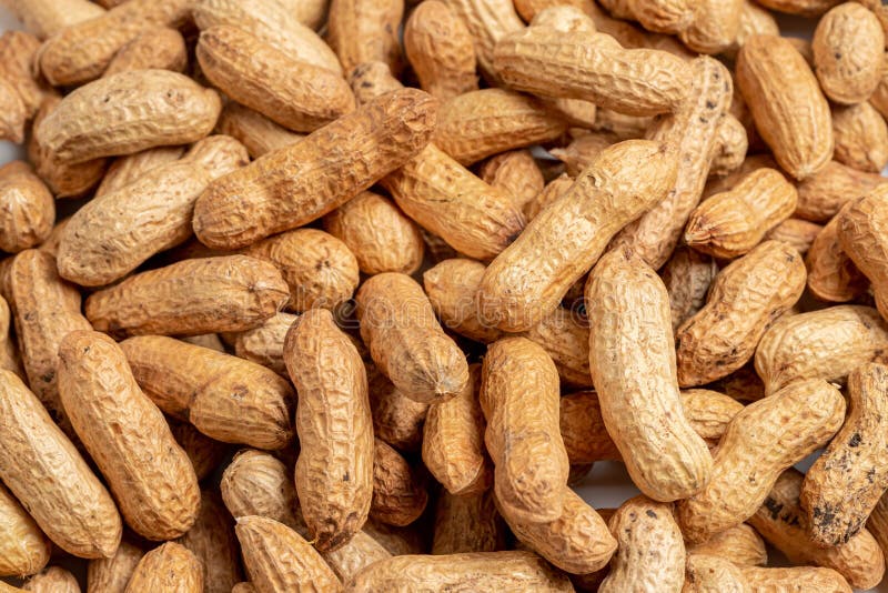 Peanut Nuts Isolated on White Background. Pile of Peanut Closeup ...
