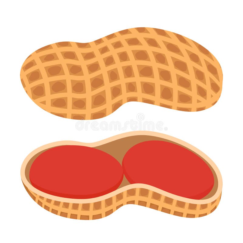 Nutshell Stock Illustrations – 11,298 Nutshell Stock Illustrations ...