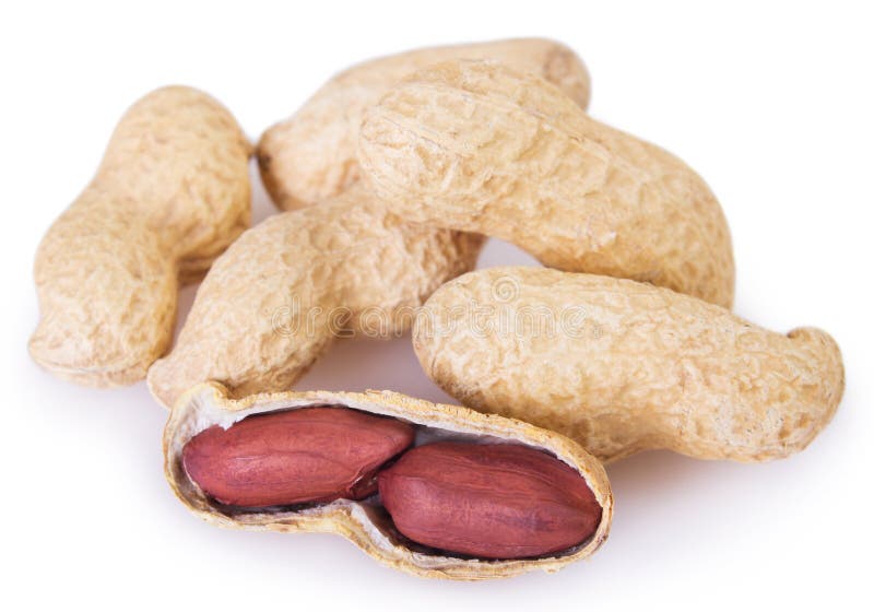 Fresh Peanut on White Background Stock Photo - Image of healthy, dried ...