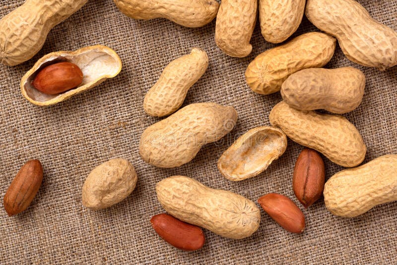 Fresh Peanuts in Shell on Burlap, Top View Stock Photo - Image of ...