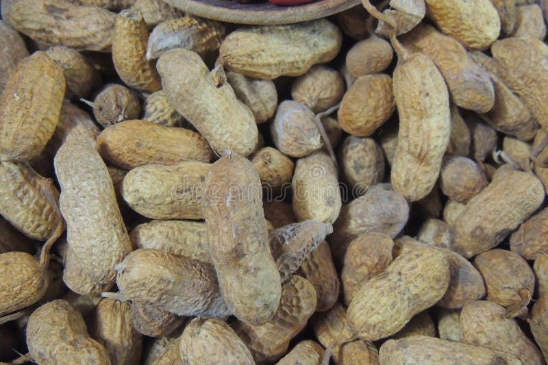 Fresh Peanuts in Shell on Burlap, Top View Stock Image - Image of ...