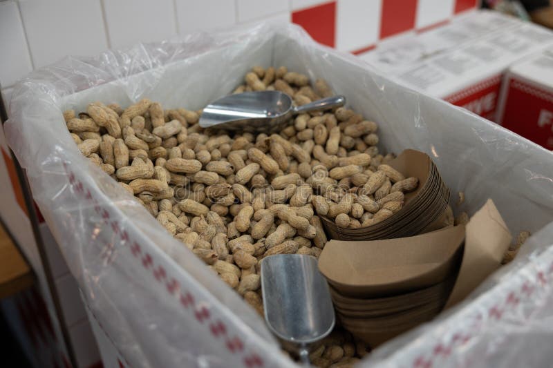 Fresh Peanuts with Shells Box.Iron Spatula for Set of Peanuts.Elephant ...