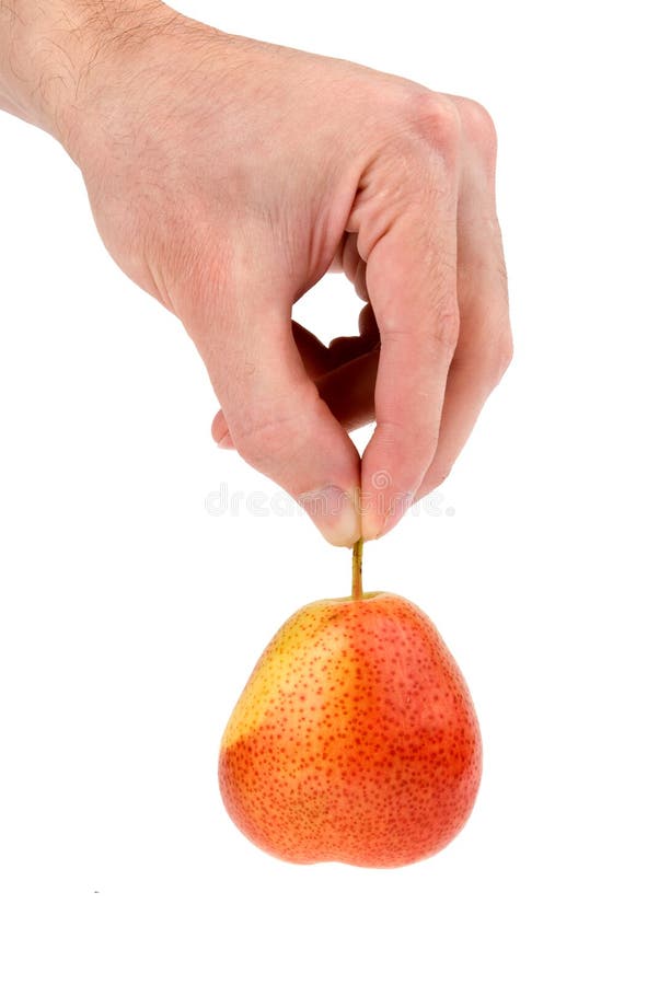 Fresh pear stock image. Image of ingredient, hold, hand - 12461863