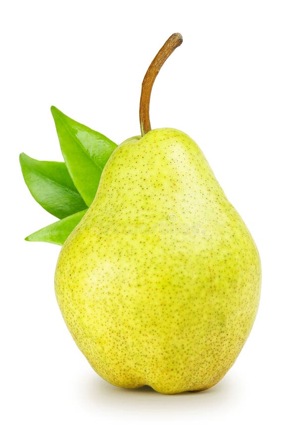 Fresh pear stock image. Image of path, pear, vitamin - 23208459