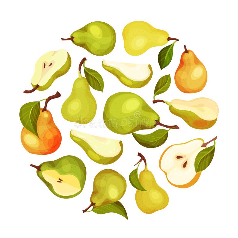 Fresh Pear Fruit Round Composition Design with Garden Crop Vector ...