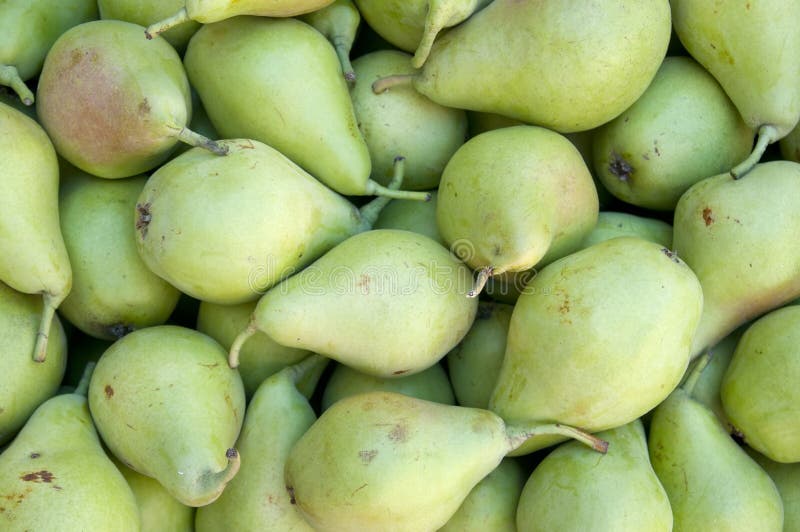 Fresh pears stock image. Image of season, vitamins, fresh - 21371281