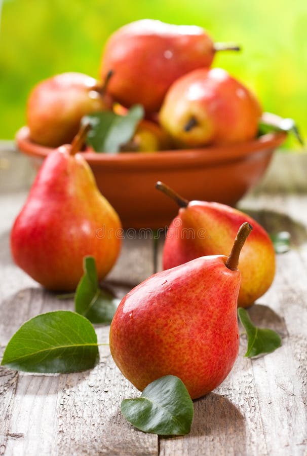 Fresh pears stock image. Image of fresh, life, ripe, garden - 25325483
