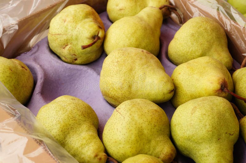 Fresh pears stock photo. Image of fresh, health, healthy - 36698138