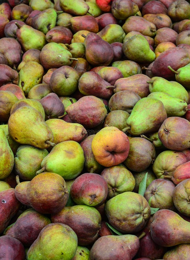 Fresh Pears with Red and Yellow Skin Stock Photo - Image of market ...