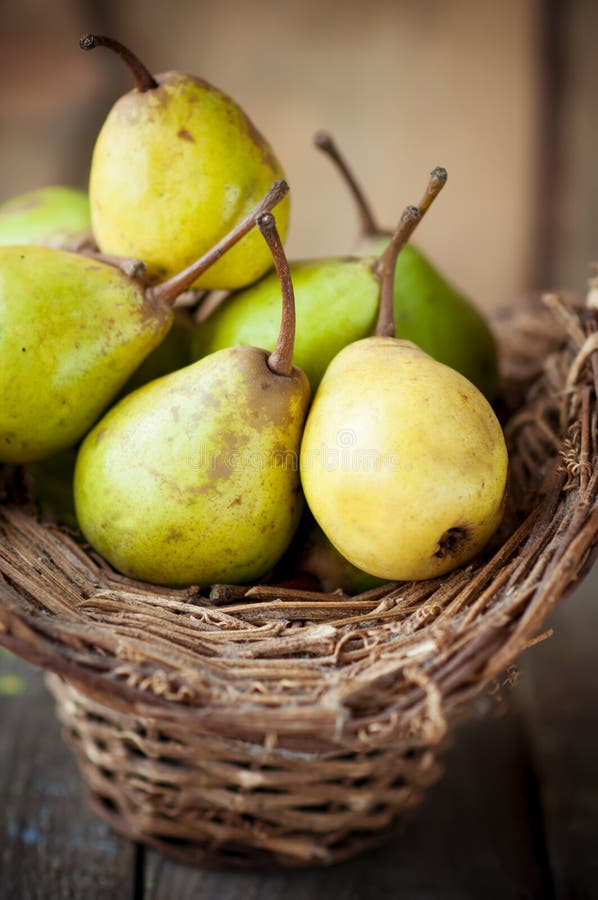 Fresh pears stock image. Image of farm, pears, nature - 45910781