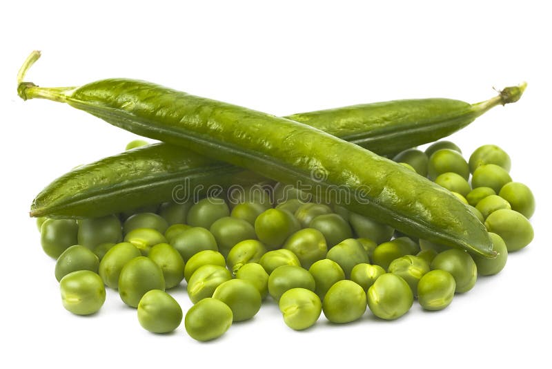Fresh peas 3 stock image. Image of farming, vegetable - 20028291
